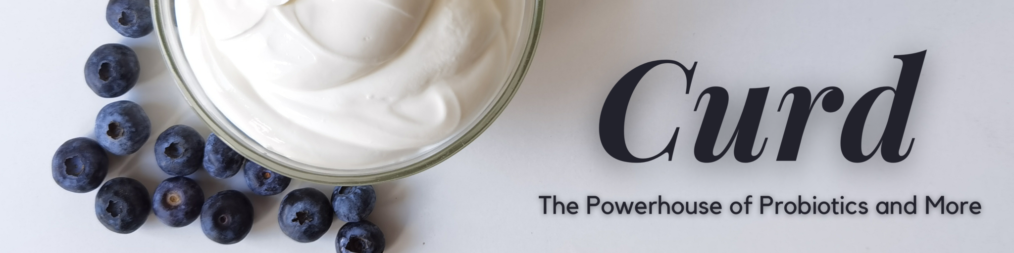 Curd: The Powerhouse of Probiotics and More – Safe Milk Labs
